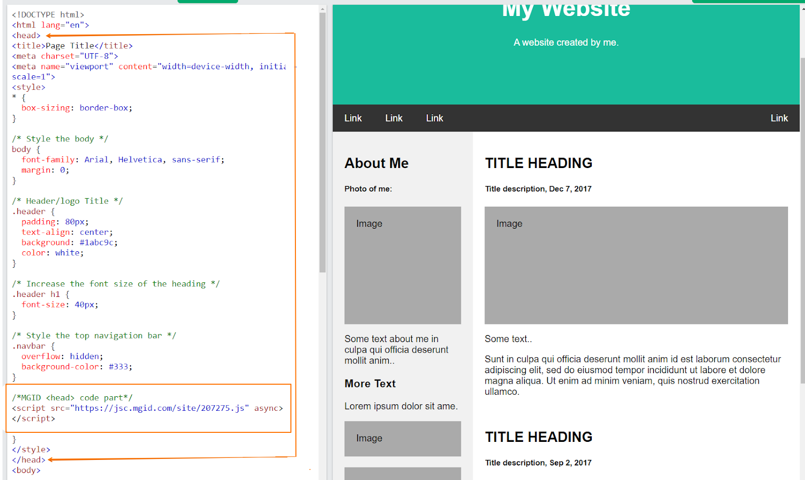 MGID Widget Code - Direct Installation